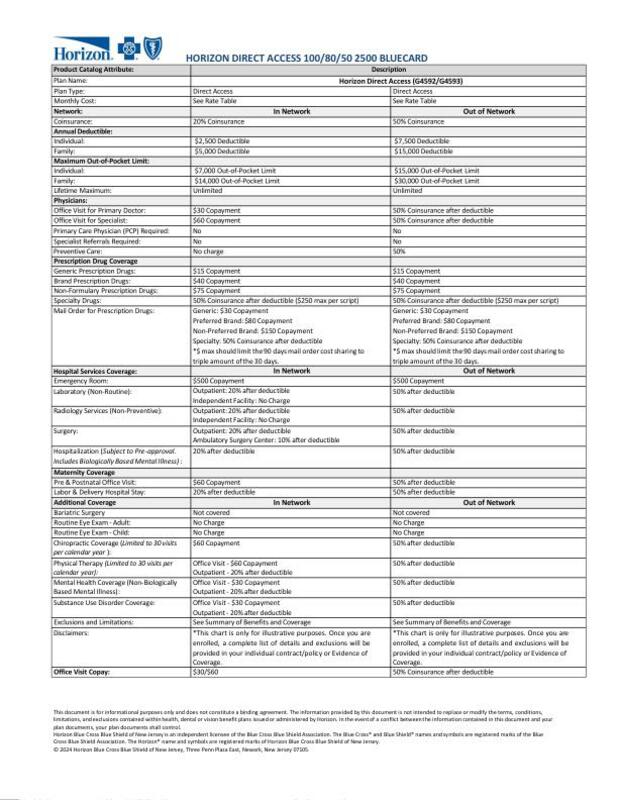 Horizon Direct Access 100-80-50 2500 BlueCard